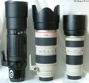 Test du Sigma AF 400mm F5.6 Apo Macro - Photographe Professionnel à ...