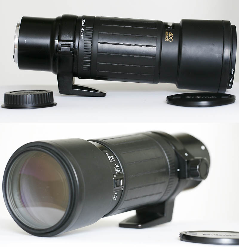 Test du Sigma AF 400mm F5.6 Apo Macro - Photographe Professionnel à ...